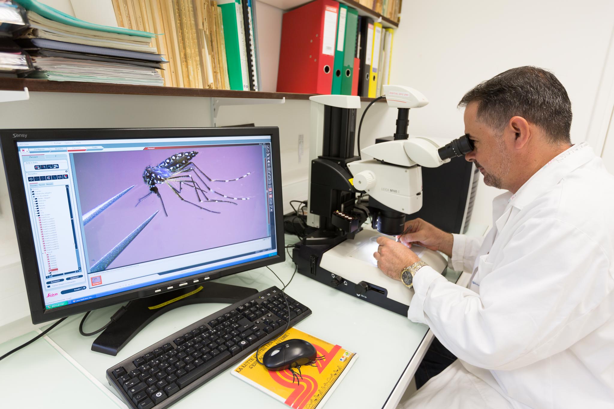 Entomologie Médicale | Institut Pasteur de Guyane