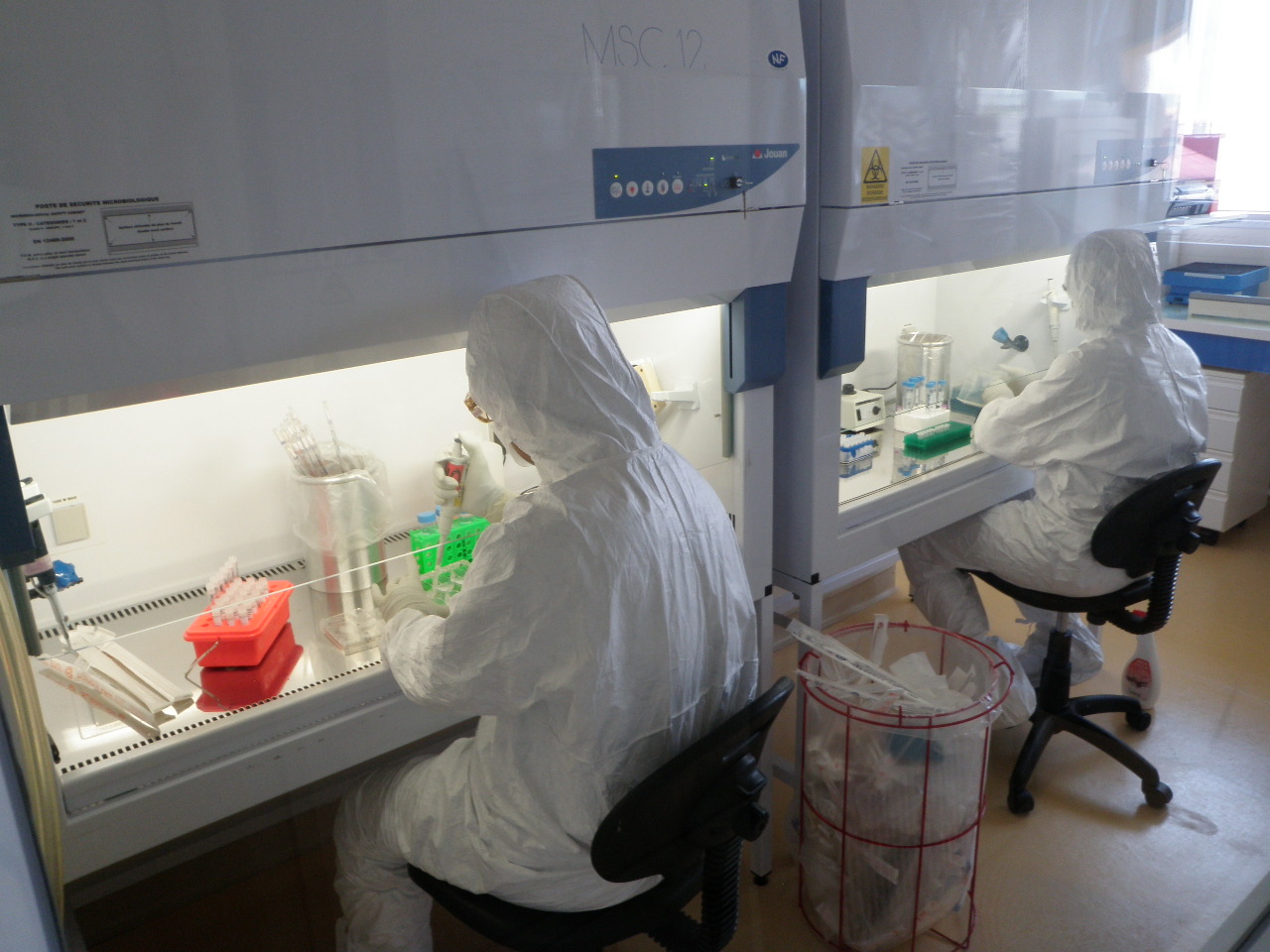 Virologie P3 | Institut Pasteur de Guyane