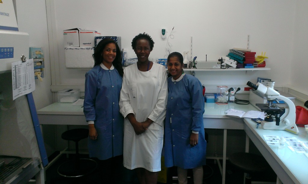 Formation au laboratoire de Parasitologie | Institut Pasteur de Guyane