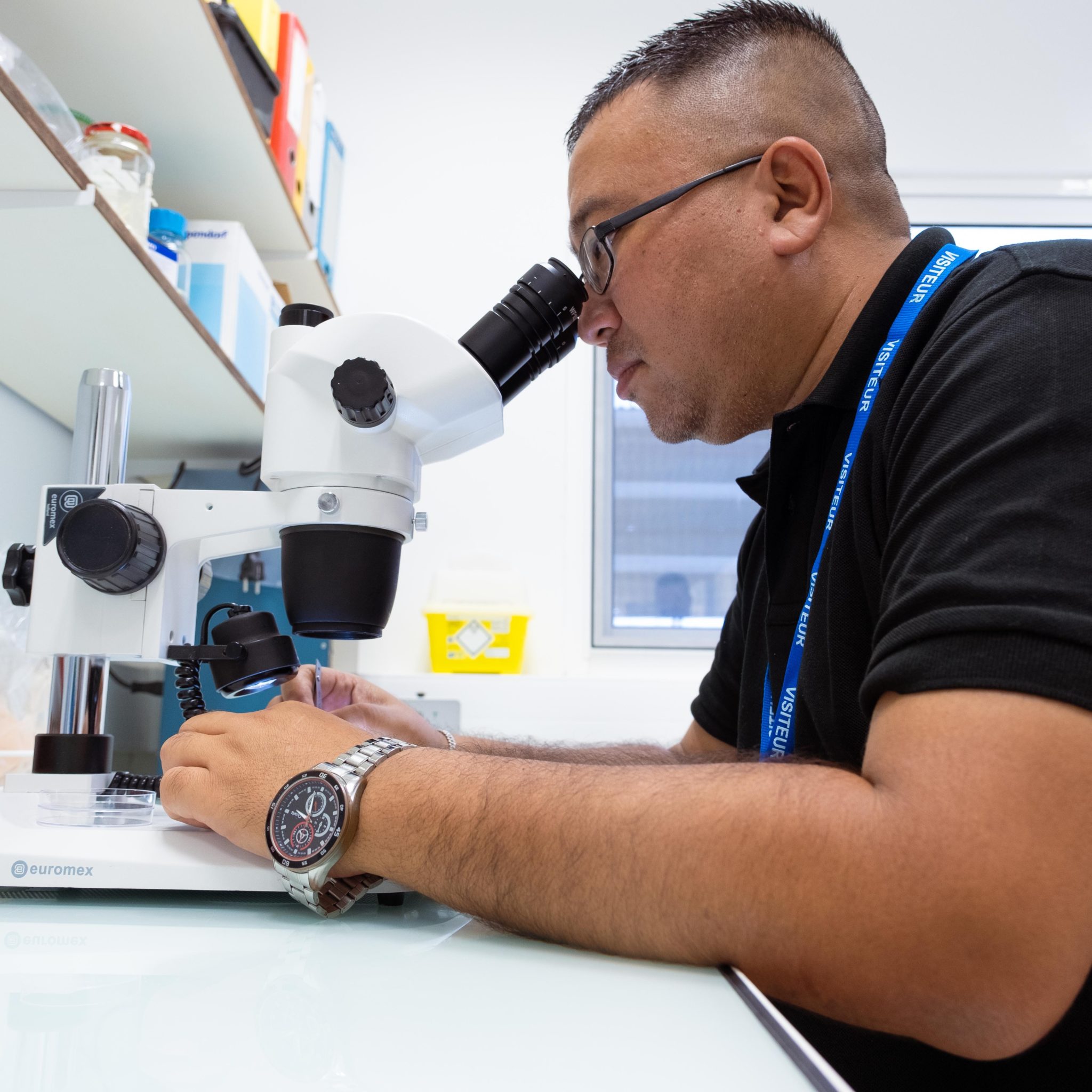 Programme d'élimination du paludisme au Suriname | Institut Pasteur de ...