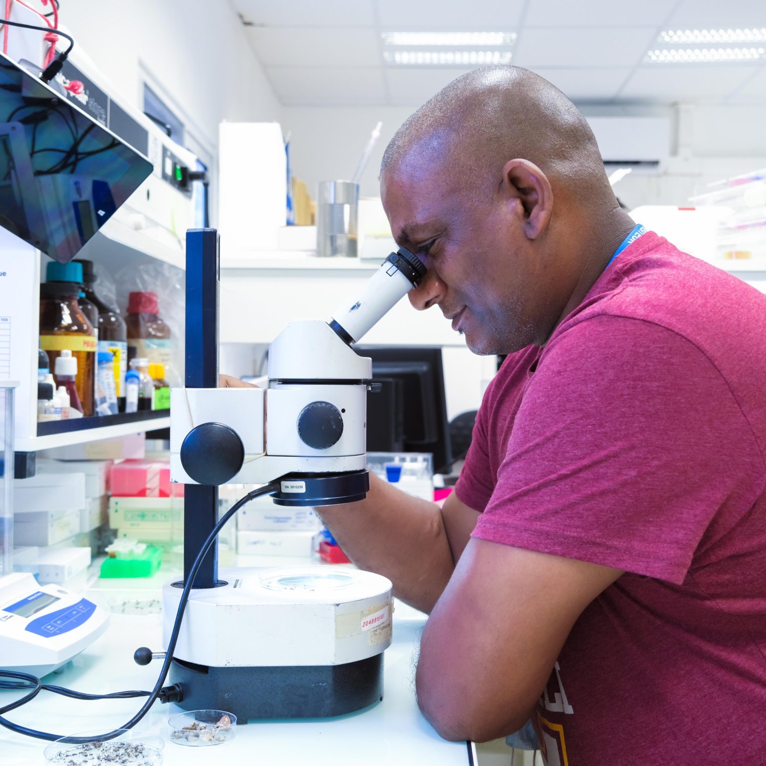 Programme d'élimination du paludisme au Suriname | Institut Pasteur de ...